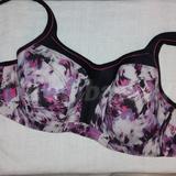 Bra database | Bratabase