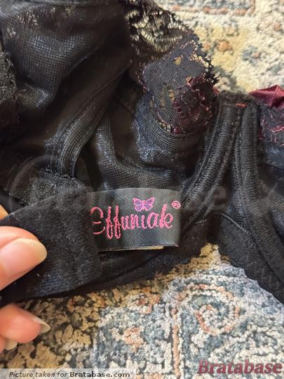 65F - Ewa Michalak » Bm Bordeaux (933) | Bratabase