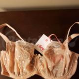 Search bra listings | Bratabase